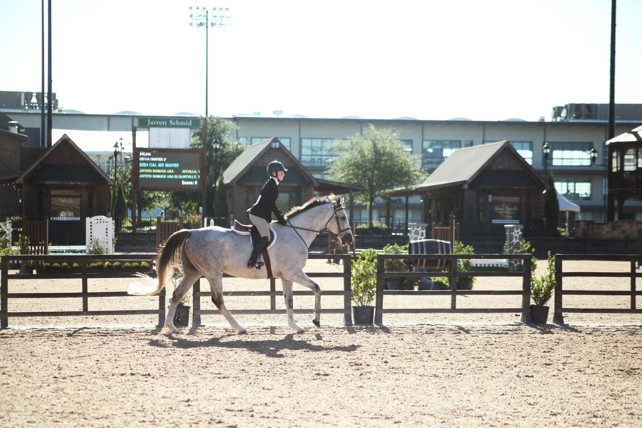 Edgewater Equestrian