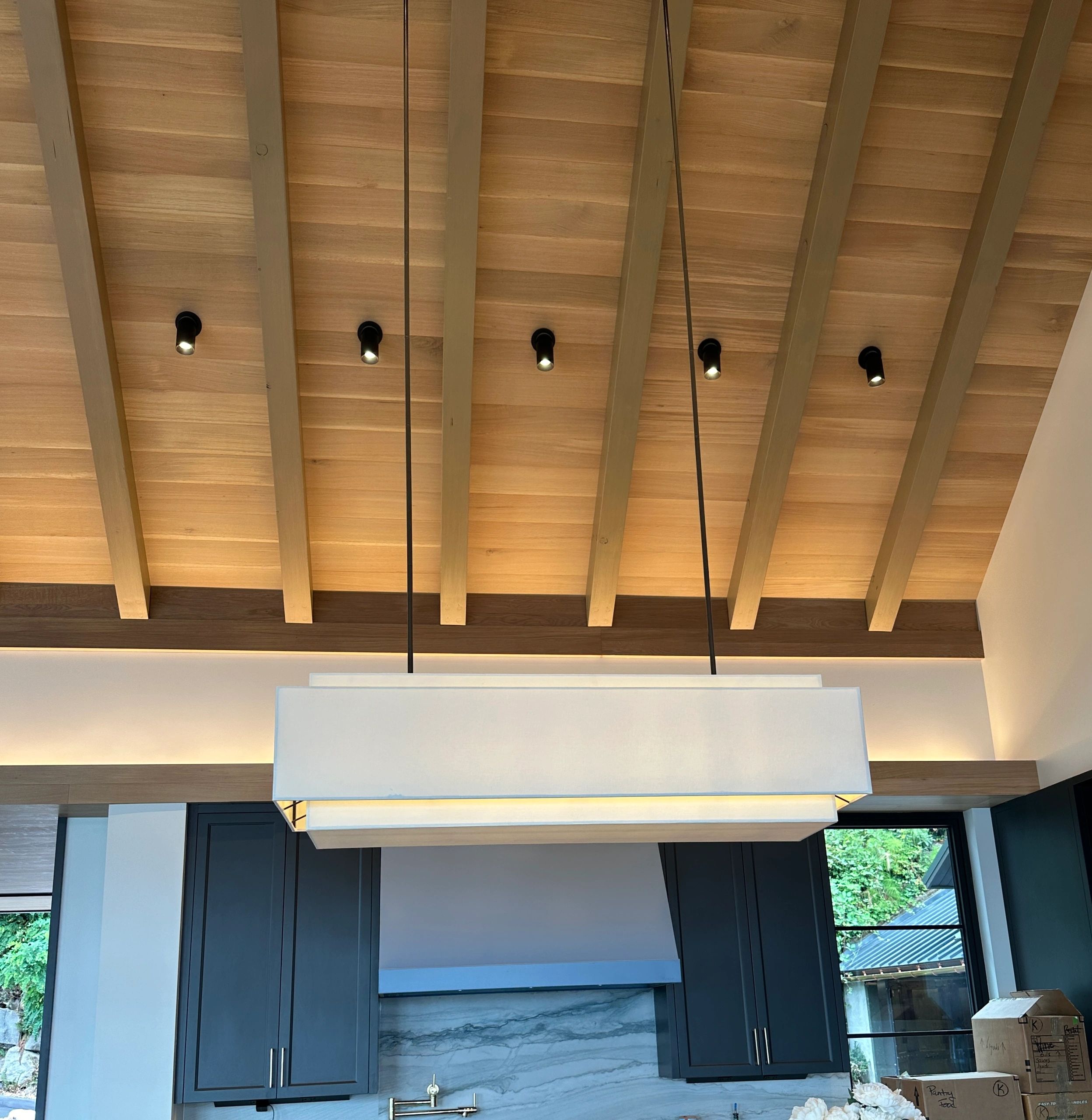 Licensed Electricians for EV Chargers, lighting installations and panel ...