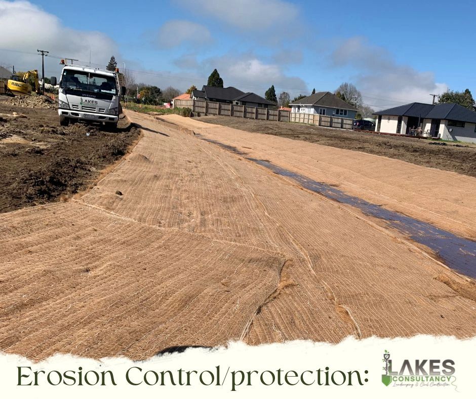 Using New Zealand Native Plants to Reduce Erosion.