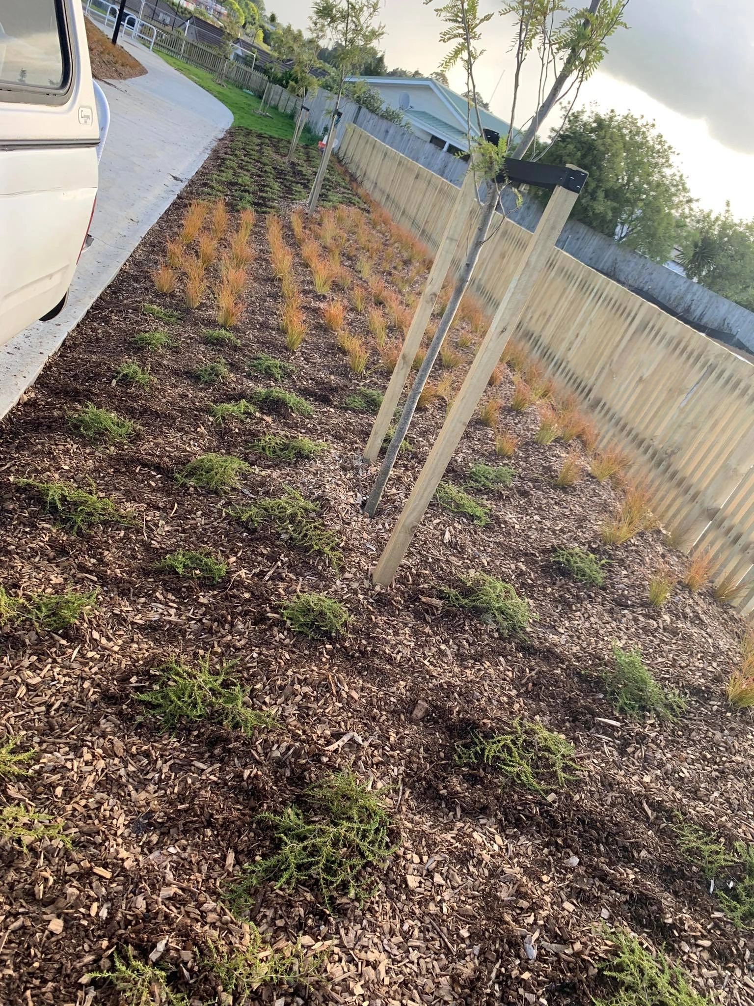 A quick guide to weed control
