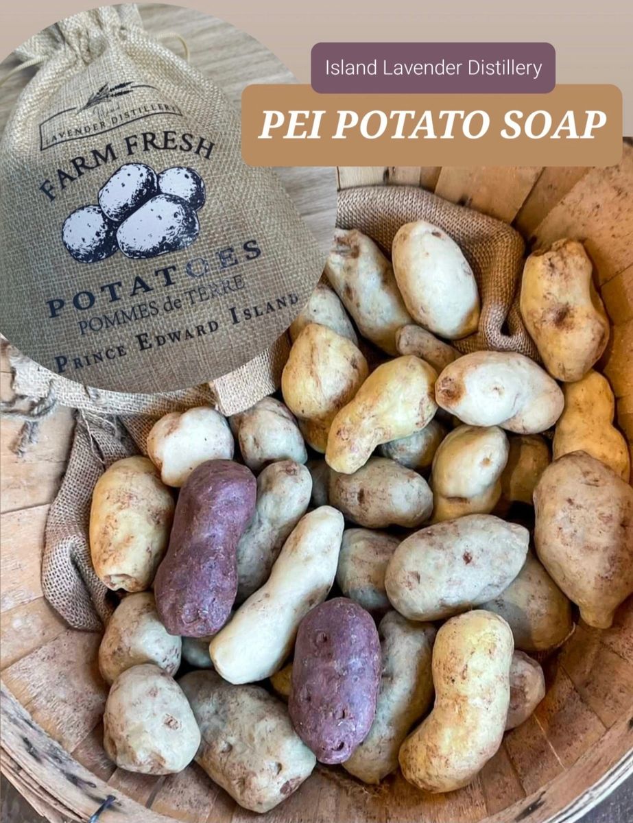 PEI Potato Soap - Sudsy Spud