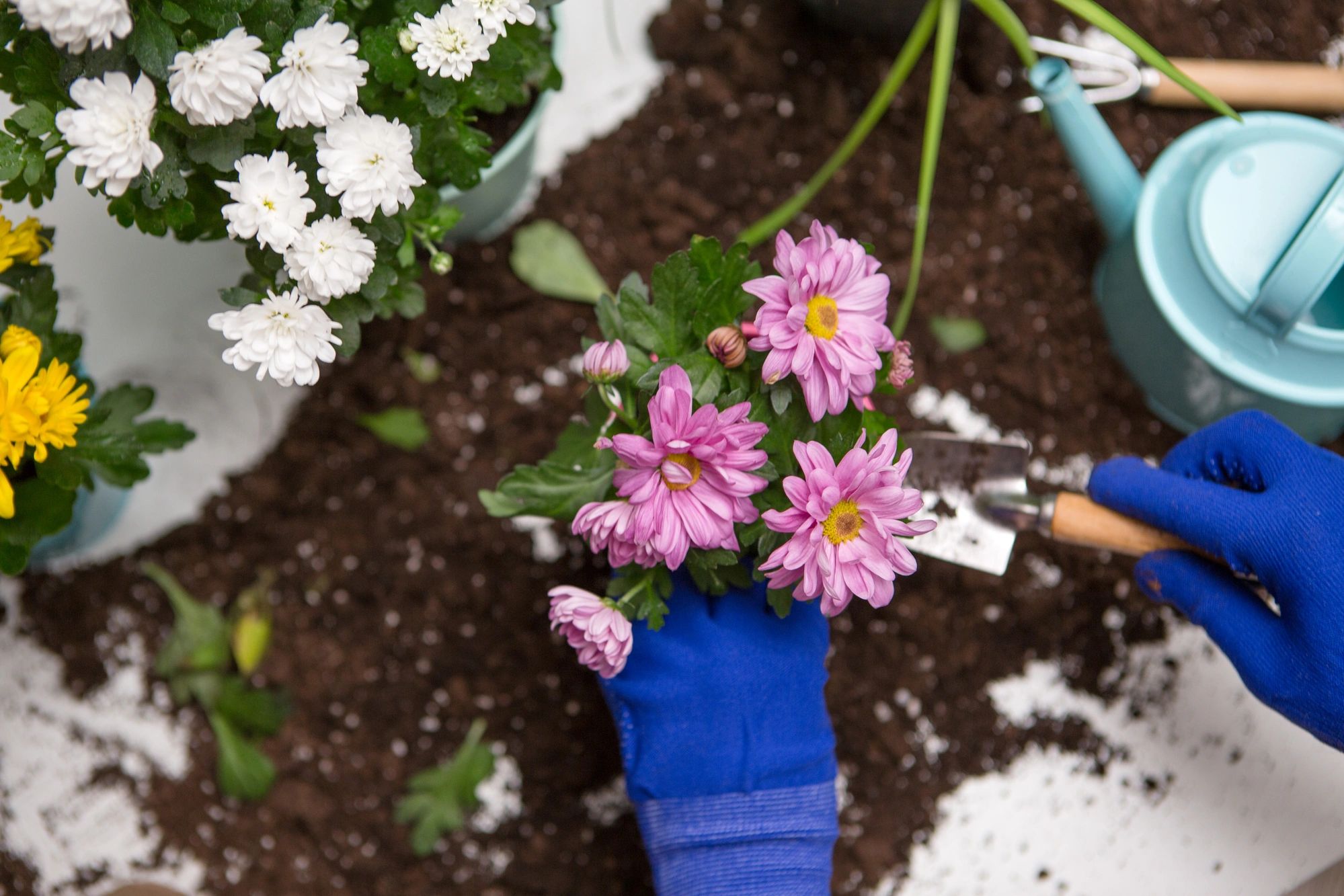 6 Easy Steps To to Feng Shui Your Garden