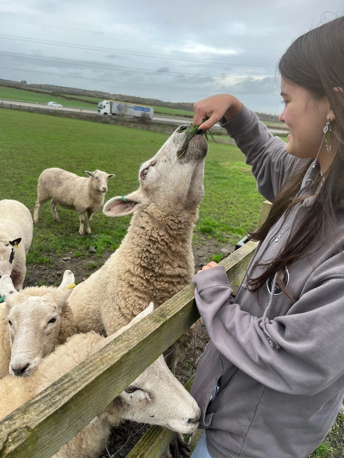 HOPEFIELDS SCHOOL Trauma Informed Education across the Tees Valley