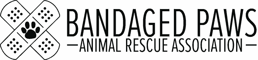 Bandaged Paws Animal Rescue Association