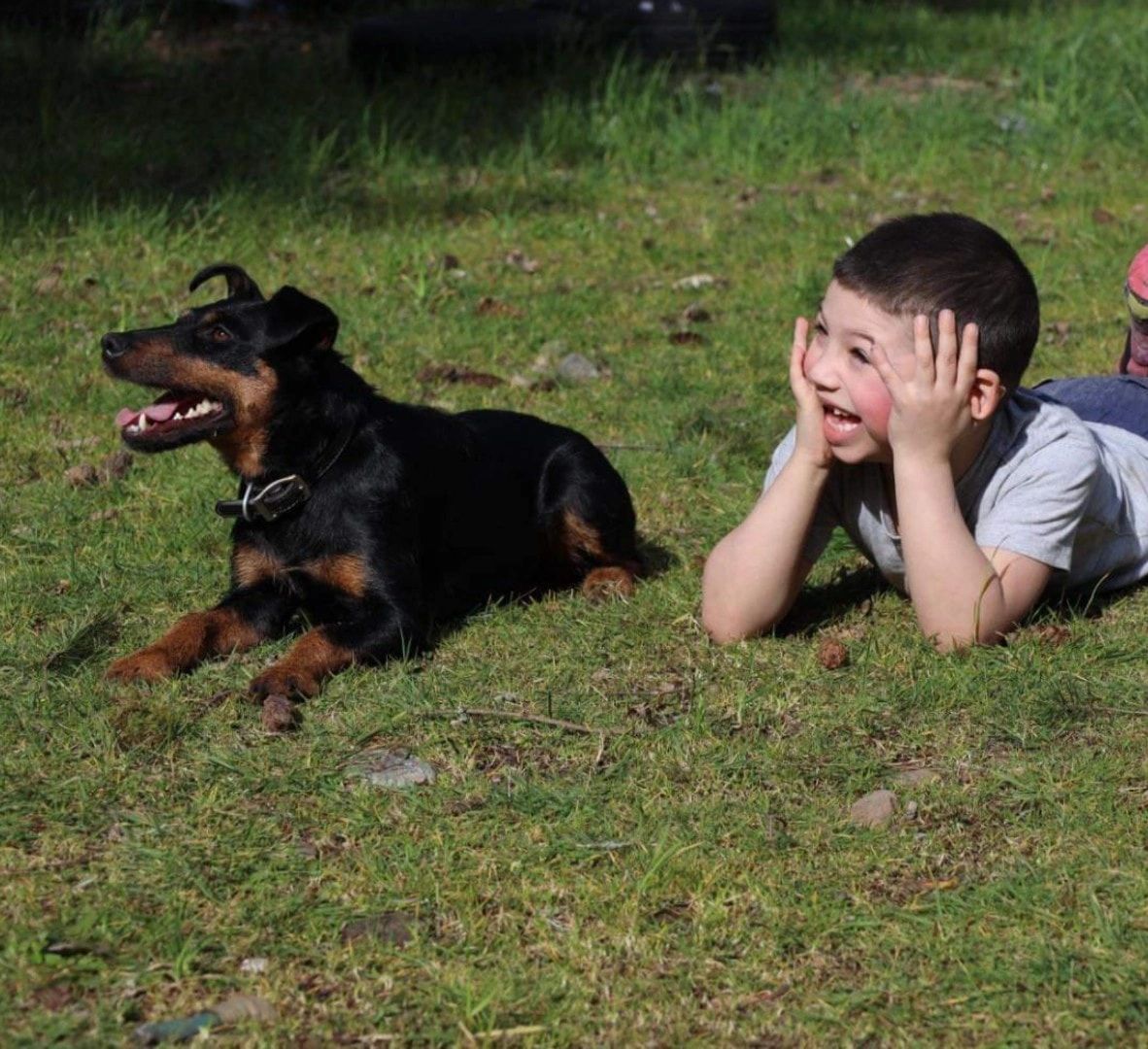 Black River Dog Training