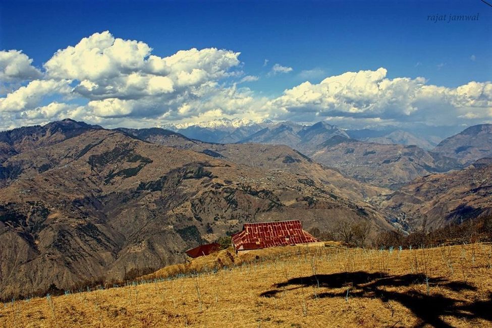 Kotgarh | adventure north