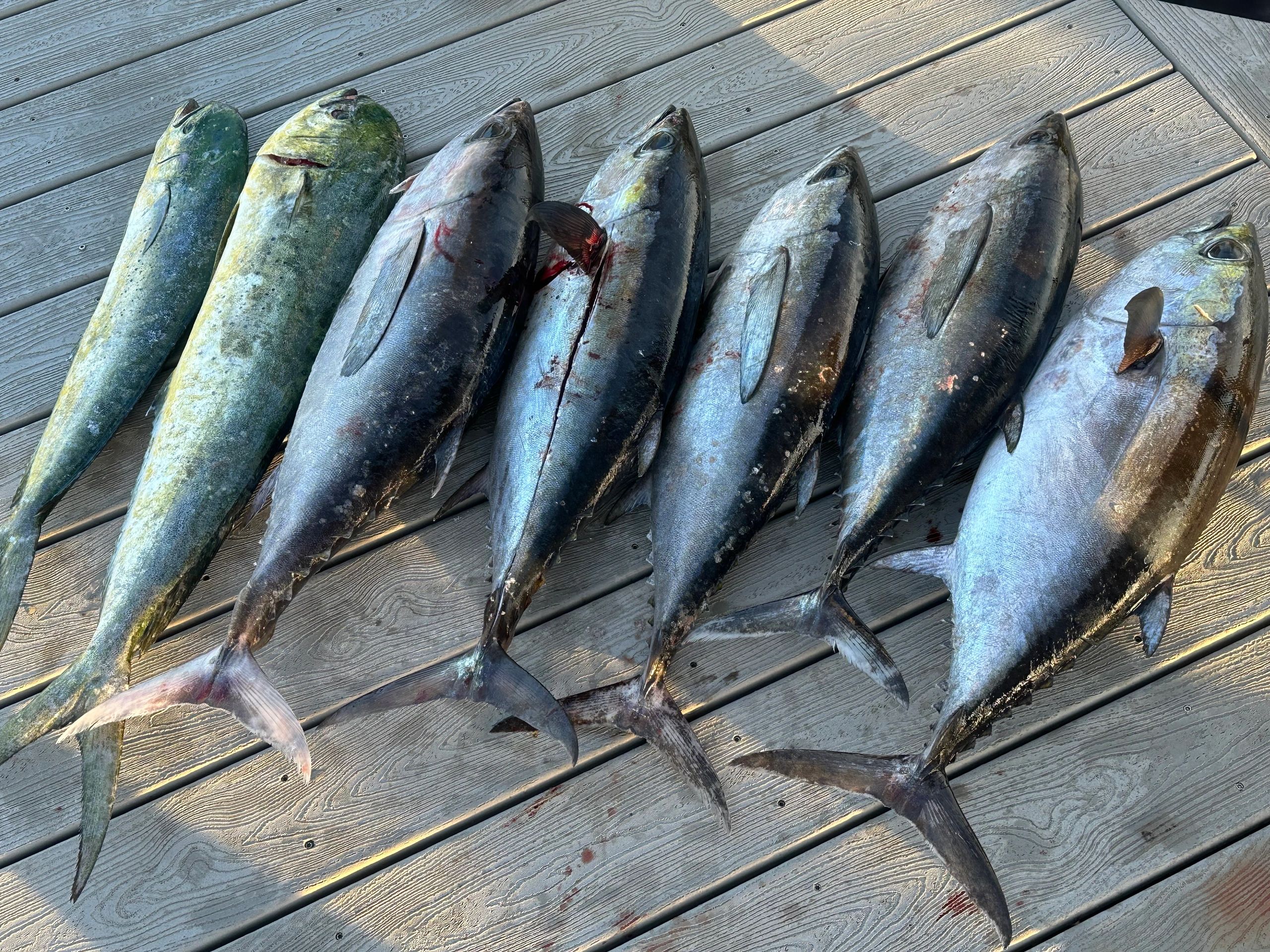 Reel Easy Fishing Charters In St Augustine Fl