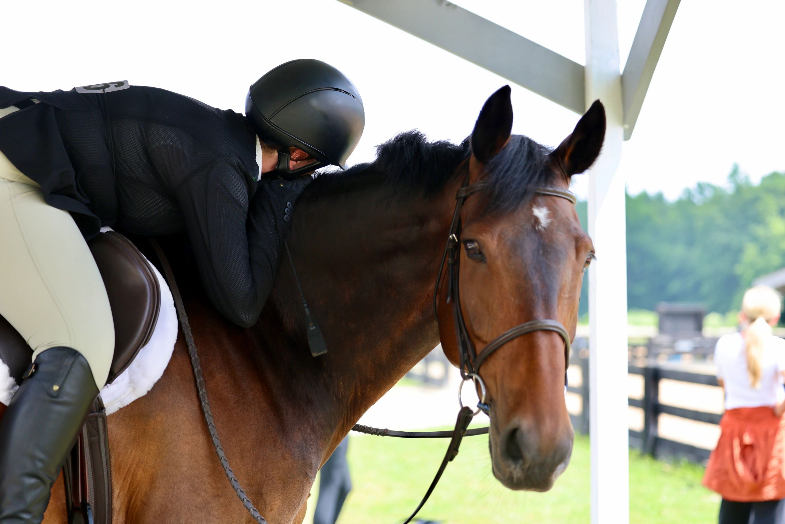 A Rider's Journey: An Equestrian Blog Experience