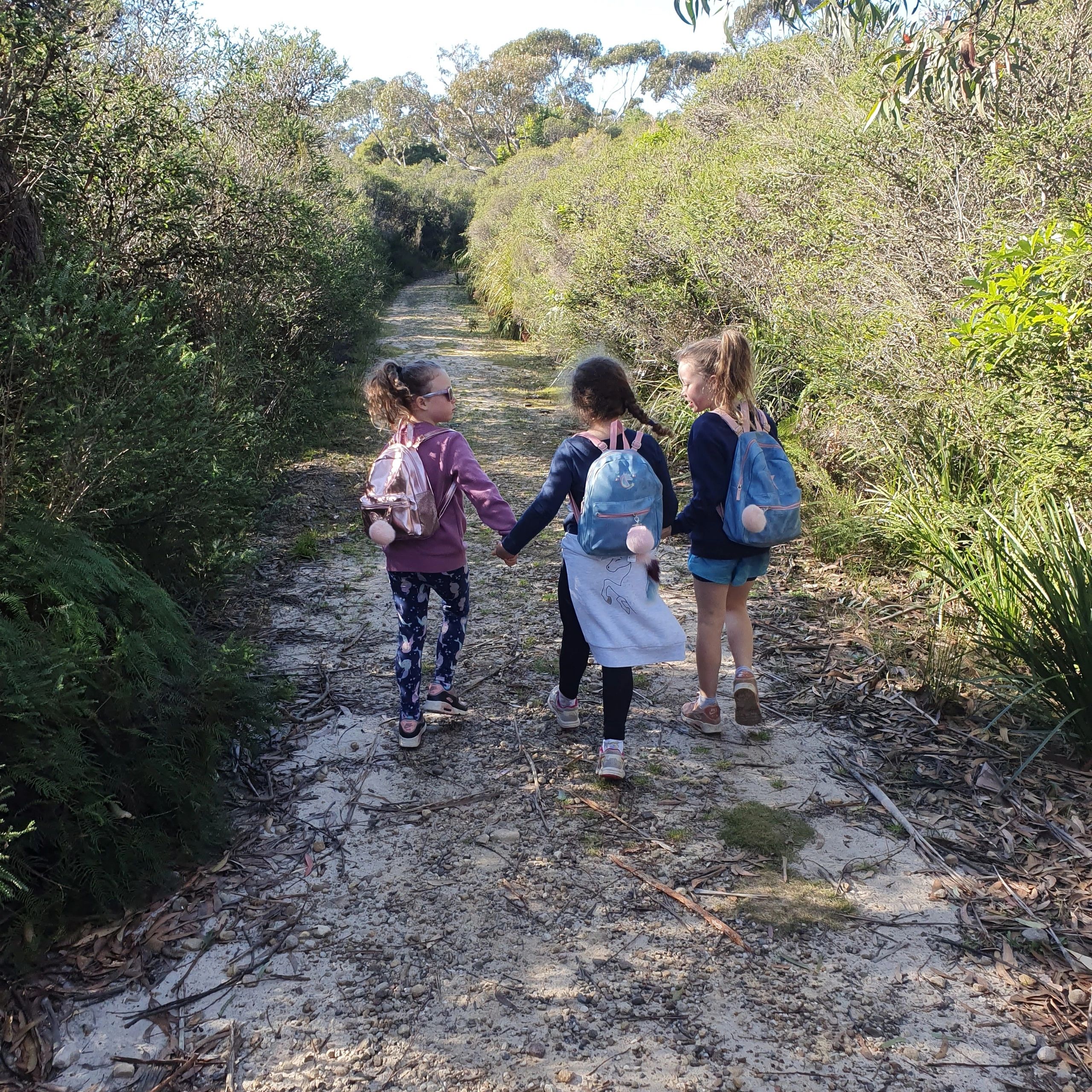 Adventure OT - Occupational Therapy - Nowra, New South Wales