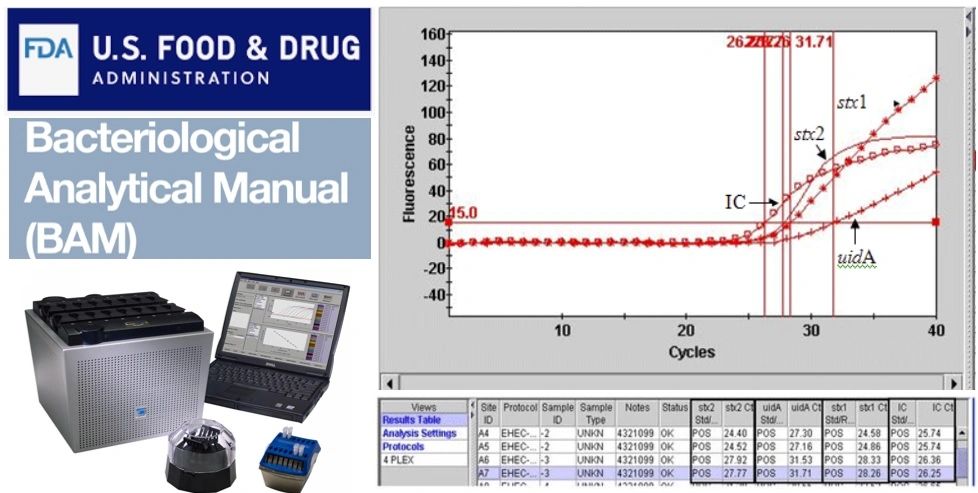 US FDA BAM CHAPTER 4A: DIARRHEAGENIC ESCHERICHIA COLI