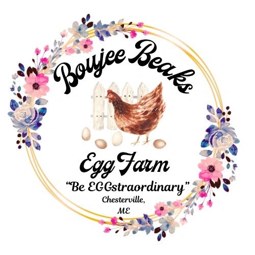 Order hatching eggs Online - Boujee Beaks Egg Farm