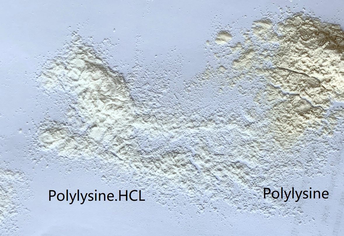 polylysine manufacture
