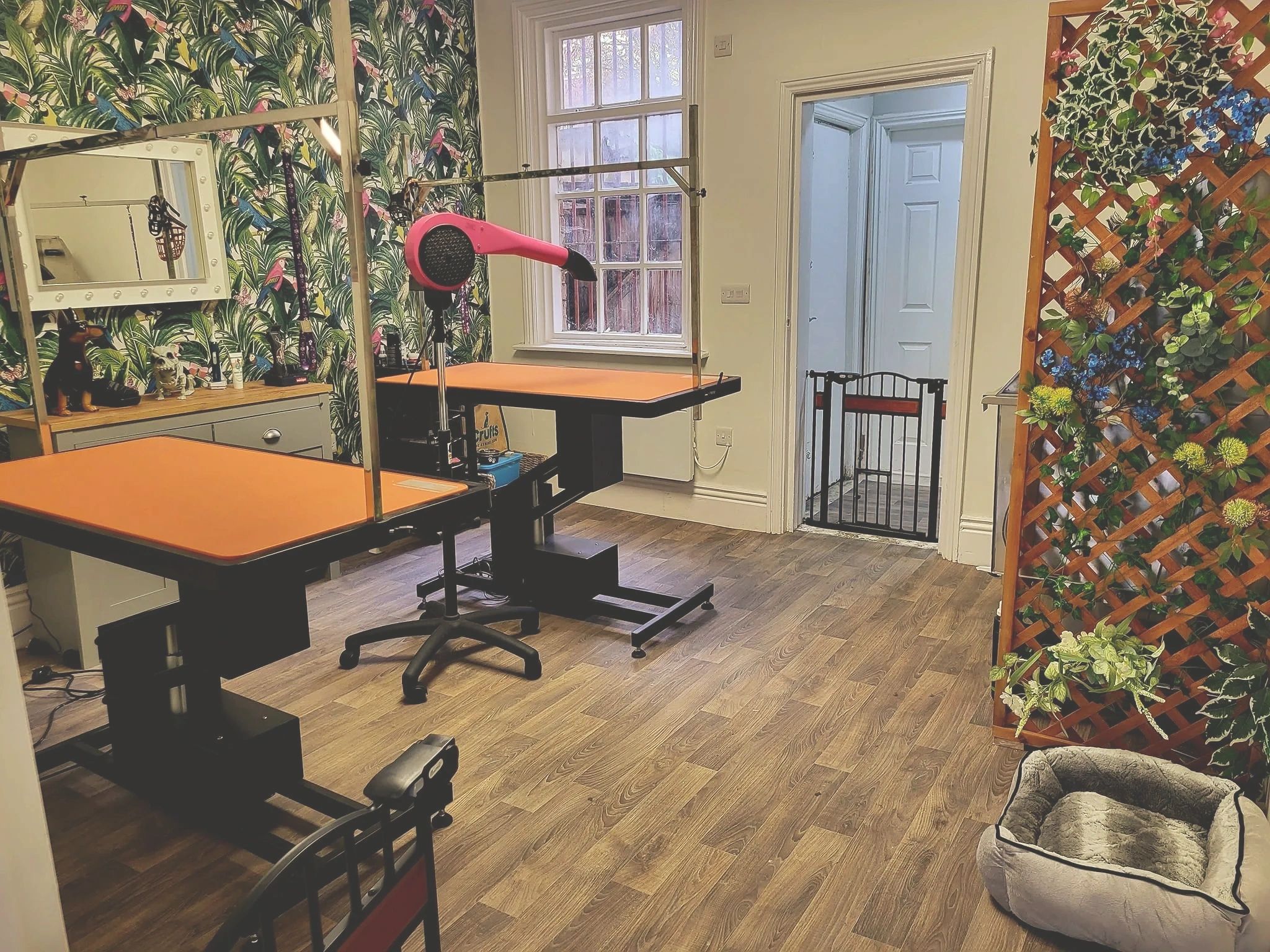 Snip Doggy Dog & The Dog Shop