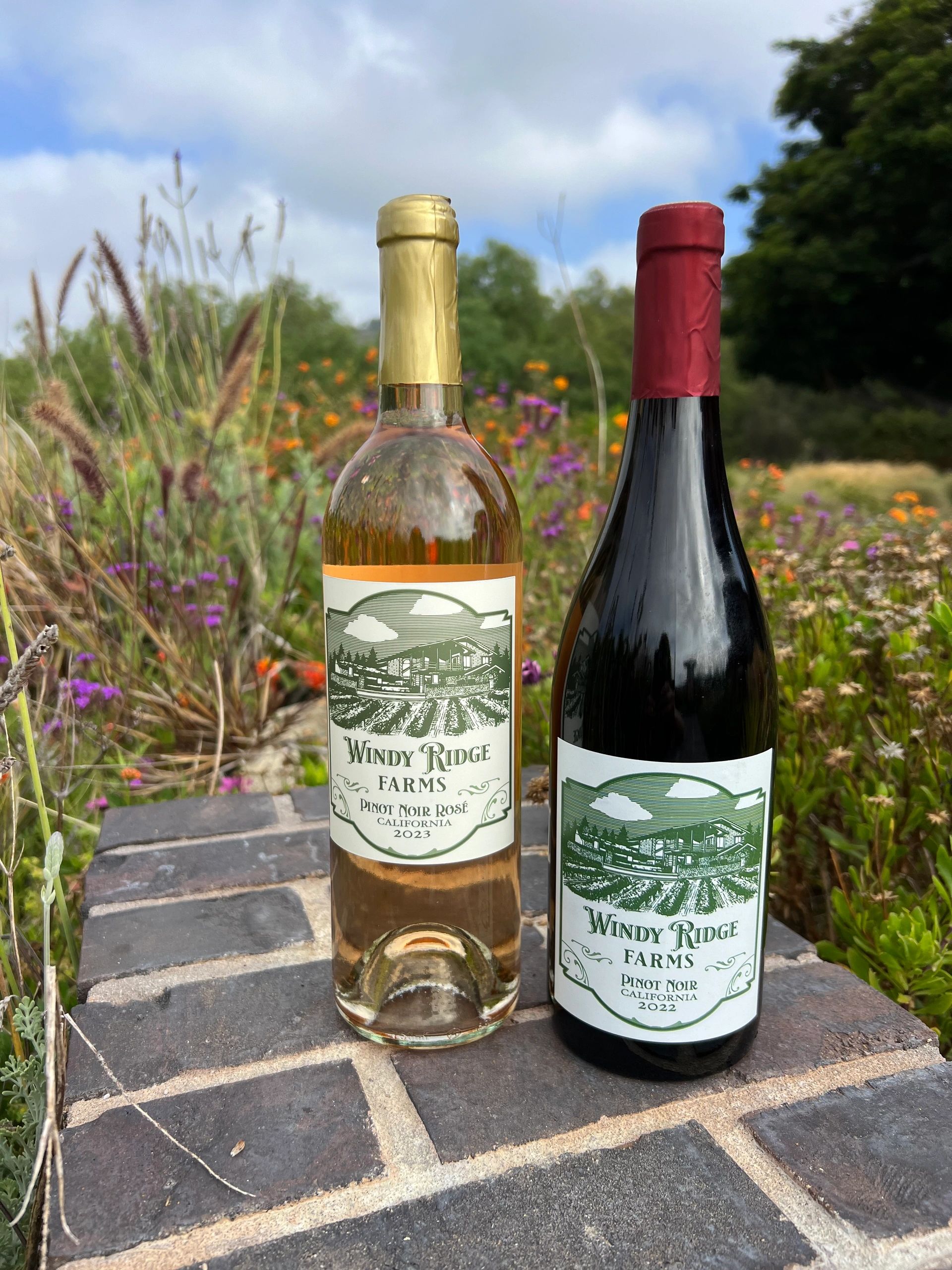 windyridgefarmswine.com