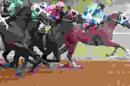 Gillespie County Fair & Festivals Association