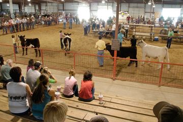 Rentals | Gillespie County Fair & Festivals Association