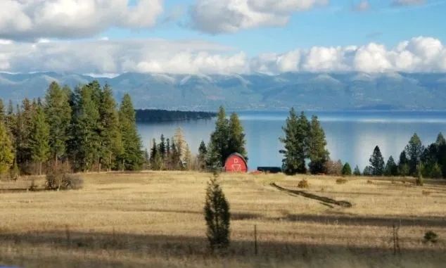 JUAN O SAVIN OFFICIAL