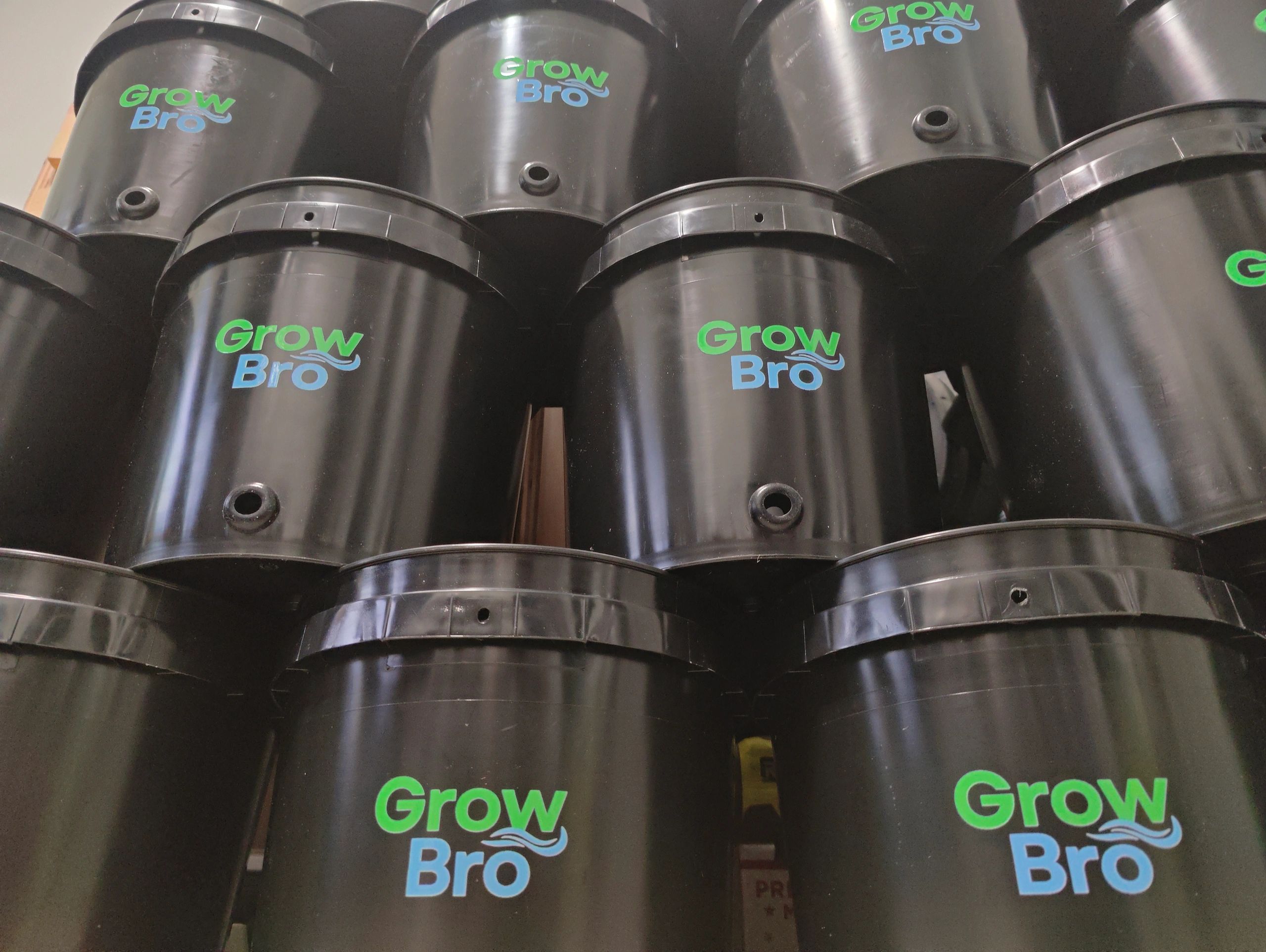 Hydro Farming at Home: Discover the Benefits of Hydro Growing Systems