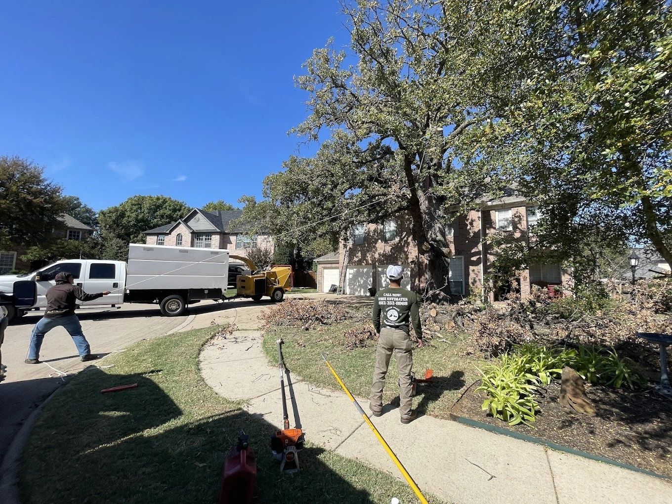 Professional Tree Service | Green Image Tree Service