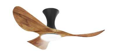 Ceiling Fan Shop - Buy Designer Ceiling Fans with Lights Online in ...