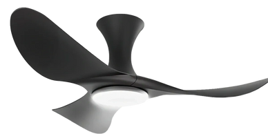 Ceiling Fan Shop - Buy Designer Ceiling Fans with Lights Online in ...