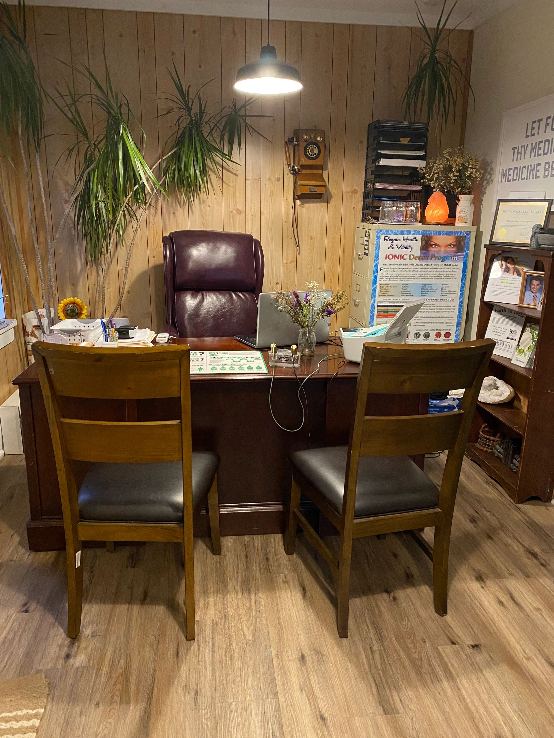 Bioenergetic Testing- How does it work?