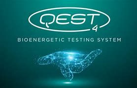 What is Bio~Energetic Testing?