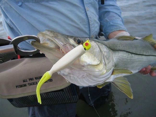 Dealer List | TEXAS RATTLER™ - The Worlds Finest Jighead