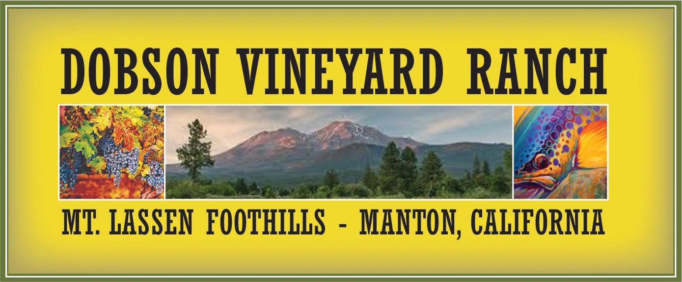 Dobson Vineyard Ranch