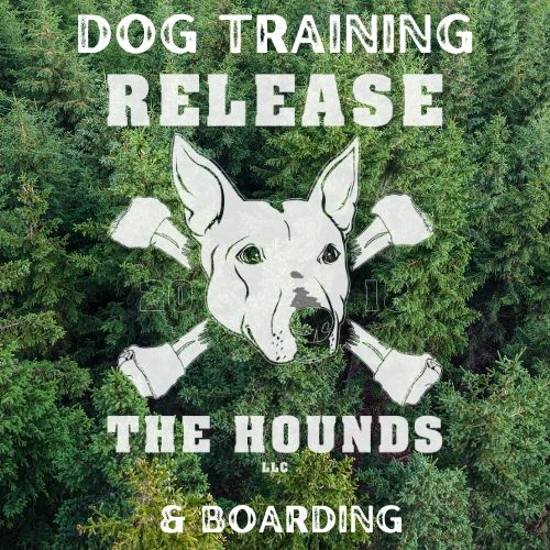 Release the Hounds