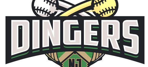 Dingers NJ - Birthday Parties, Baseball Camp, Batting Cages