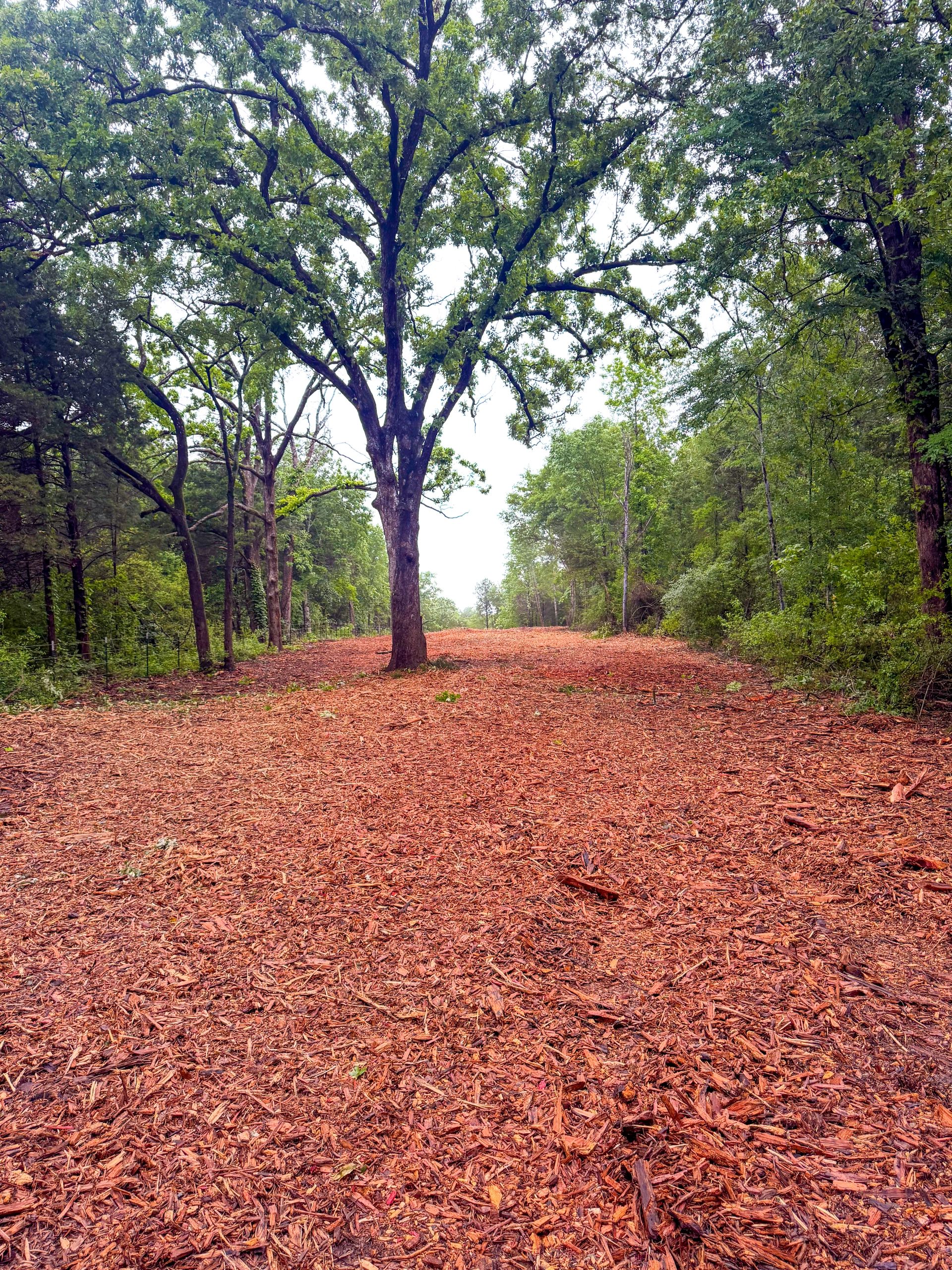 Land Enhancement Services by 7 Vine Solutions