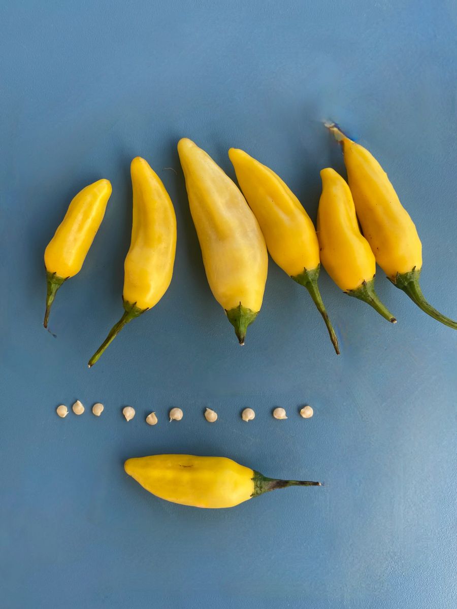 Lemon Pepper