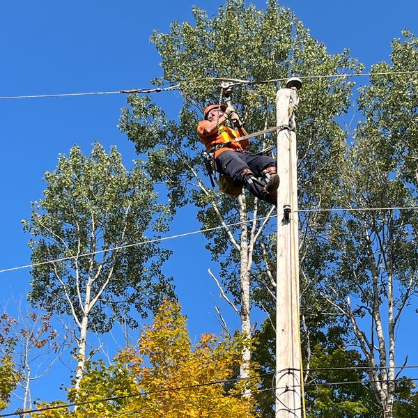 Professional Electrical Services