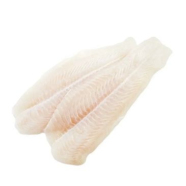 Productos Congelados y Maquinaria | COELED SAS