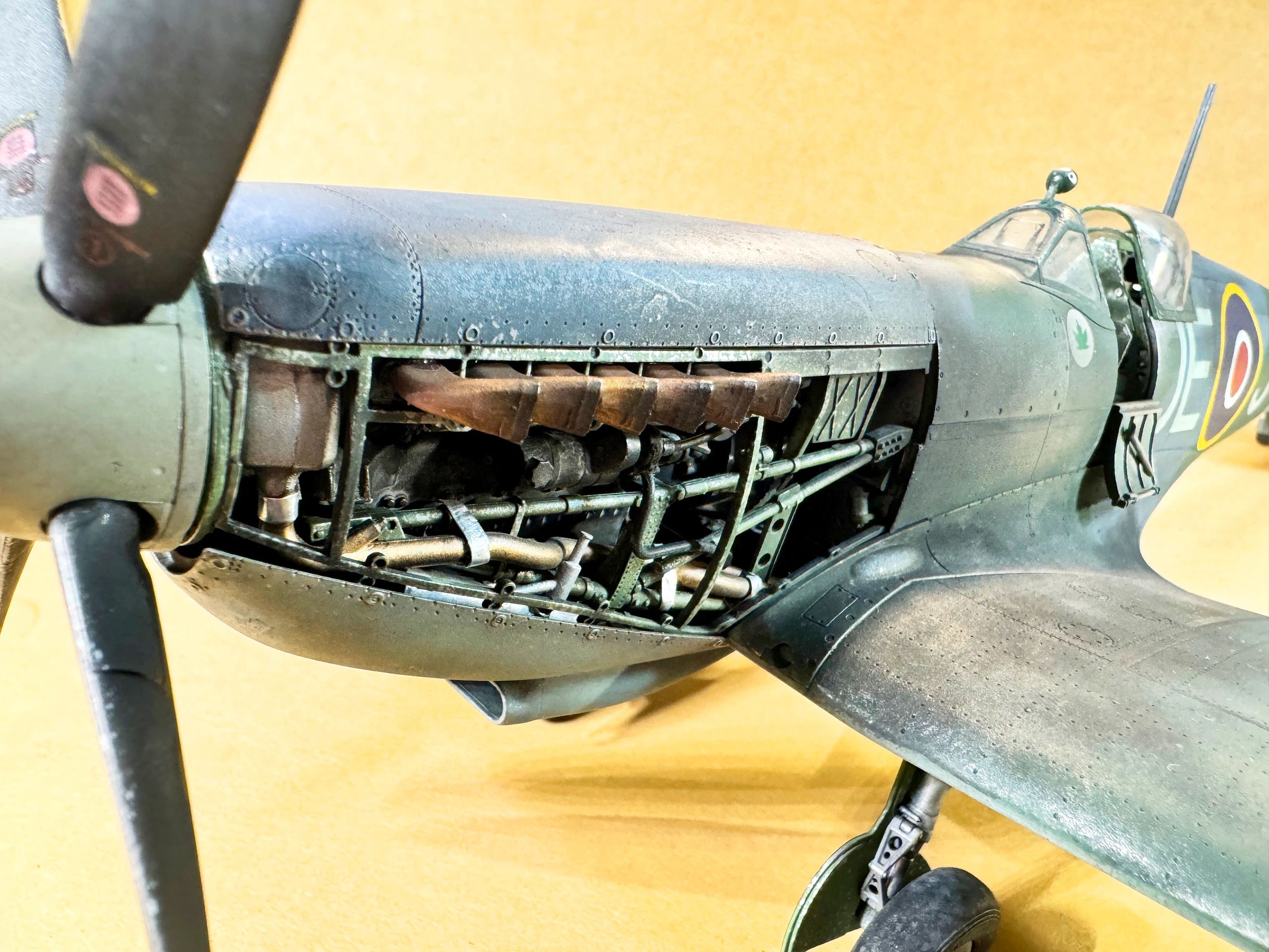 High-Quality Plastic Scale Models