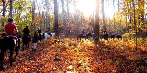 Group Events | Blue Spruce Farm