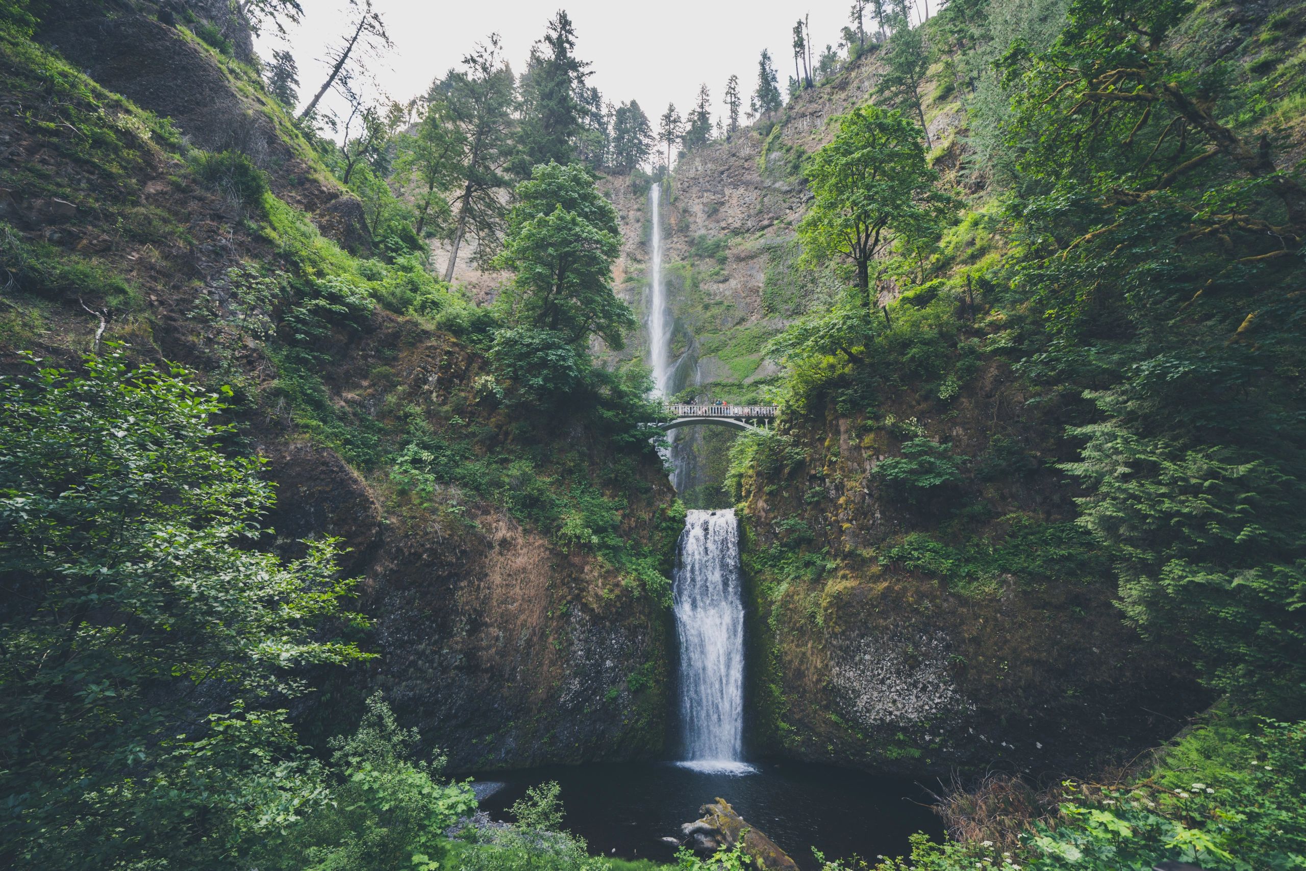 Insulation for Off-Grid Living: Sustainable Solutions