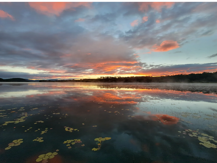 Visit Brant Lake