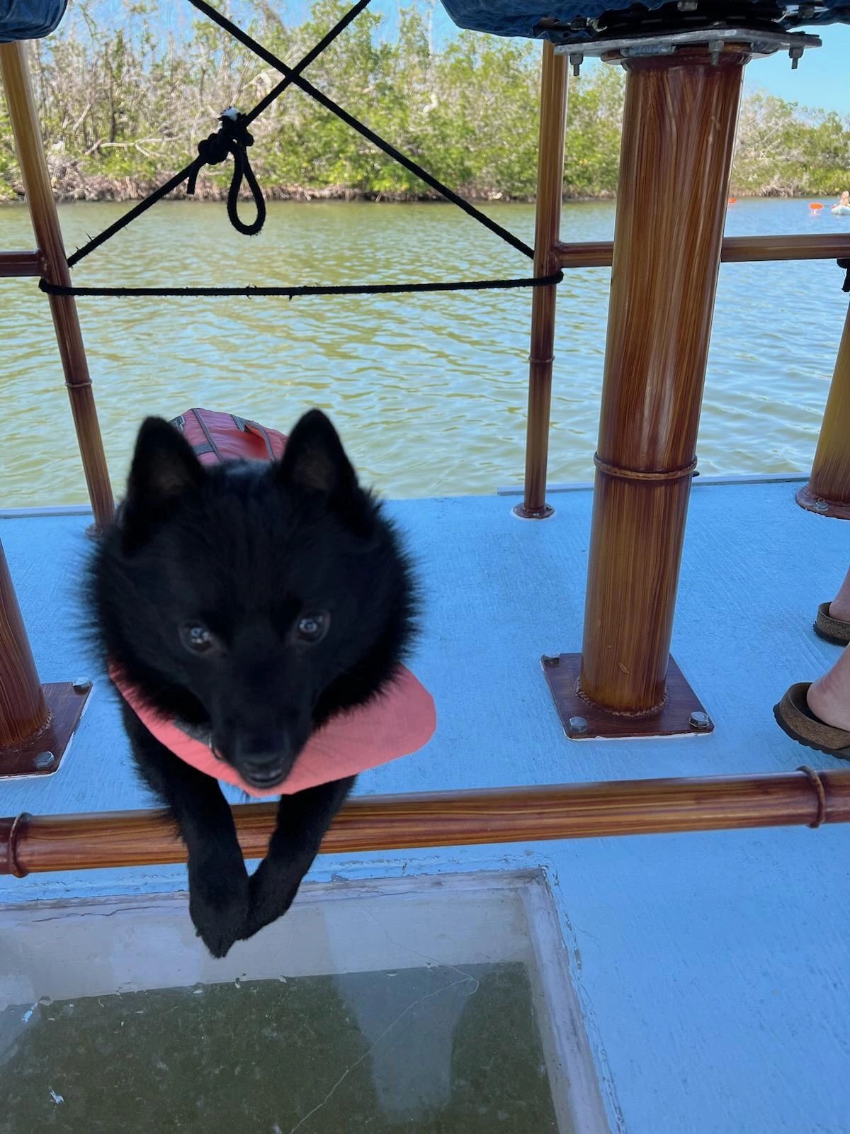 The best first mate ever!