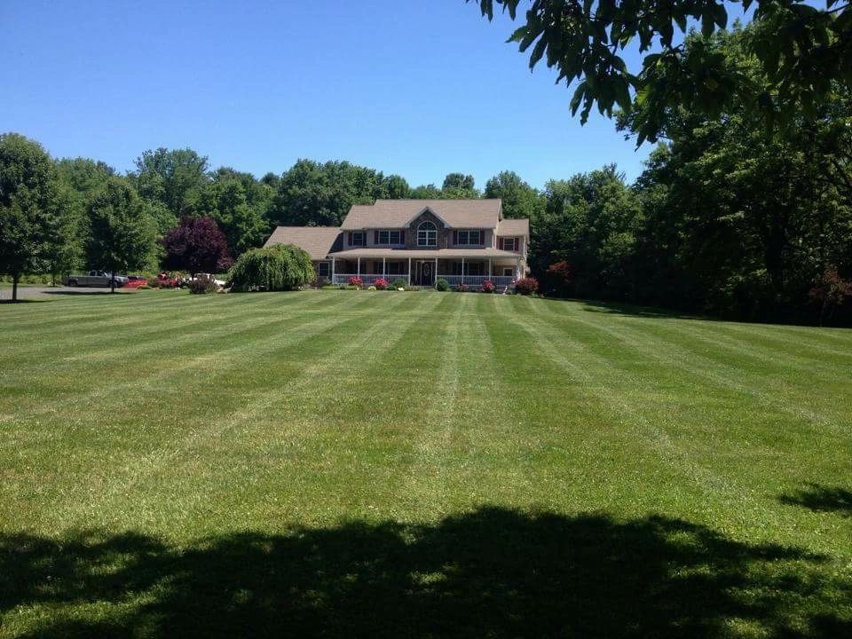 Straight cut lawn care