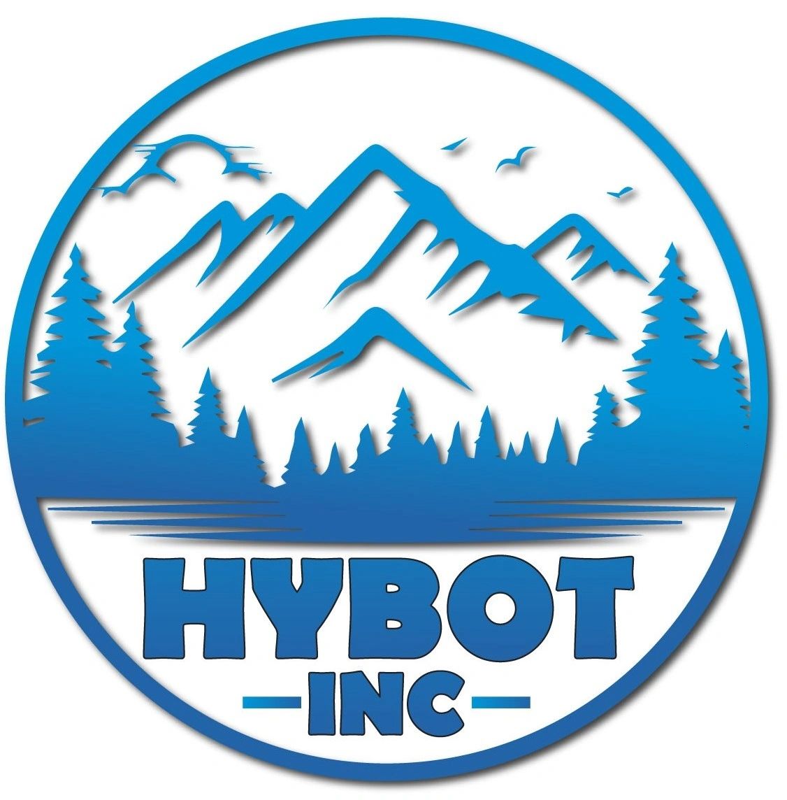 HYBOT LLC