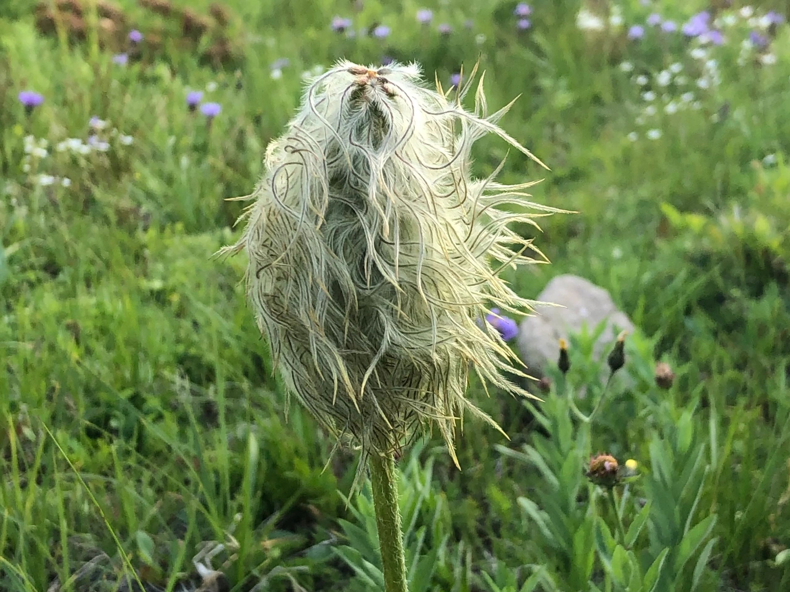 Miller Impact Collective