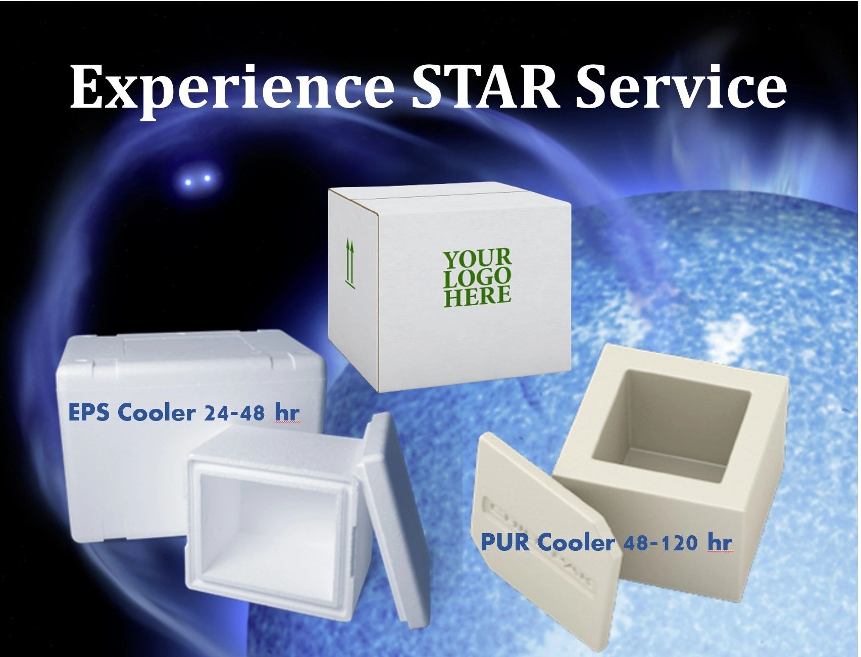 Cold Chain Solutions for Shipping Containers