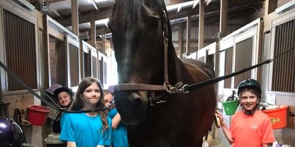 Horse Riding Lessons - Cape Ledge Farm