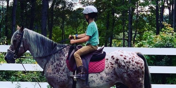 Horse Riding Lessons - Cape Ledge Farm
