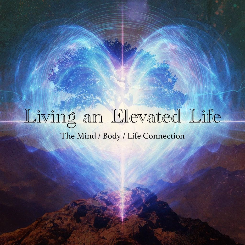 Contact Form | An Elevated Life - Brookhaven PA