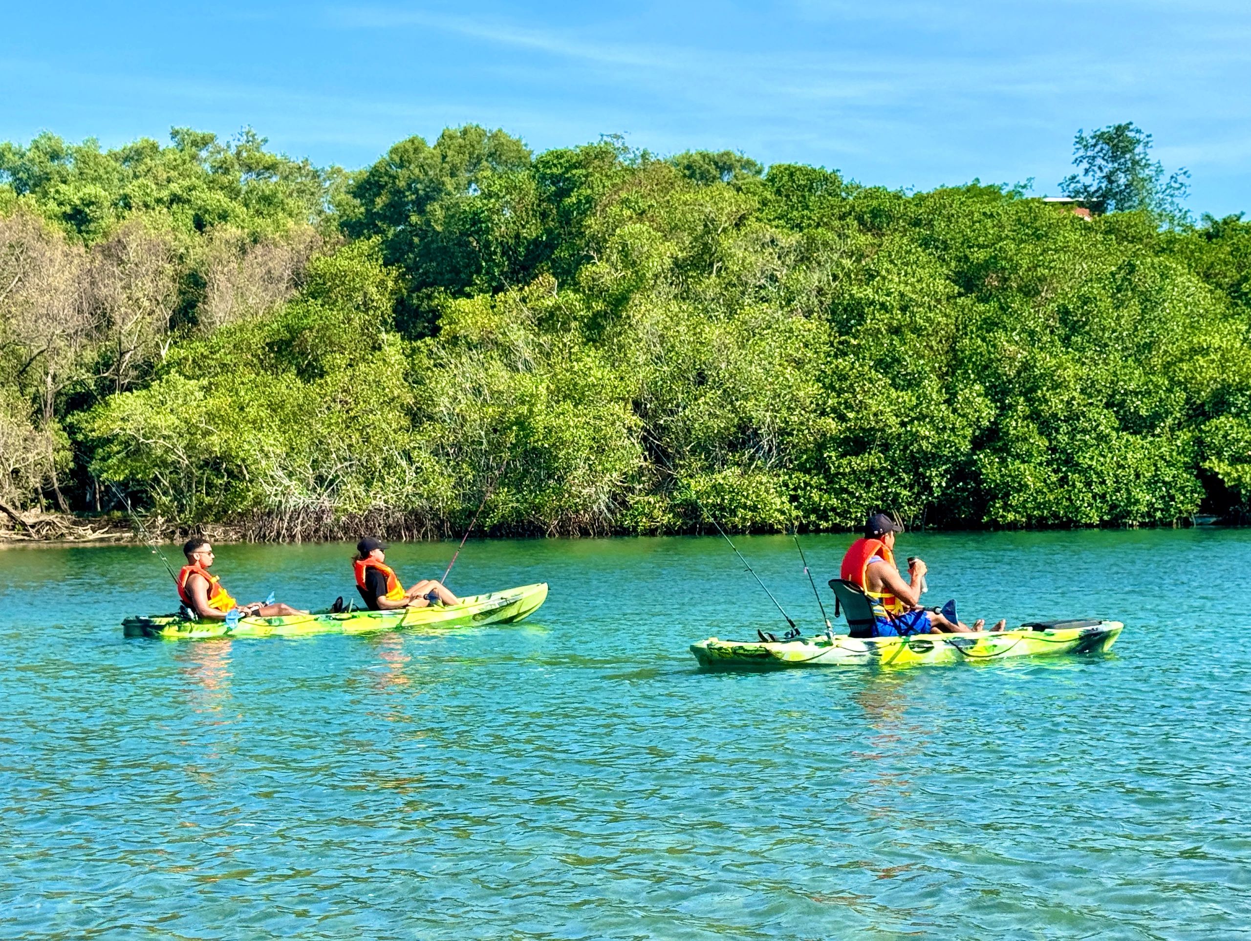 Side by Side ATV Tours & WILD LIFE