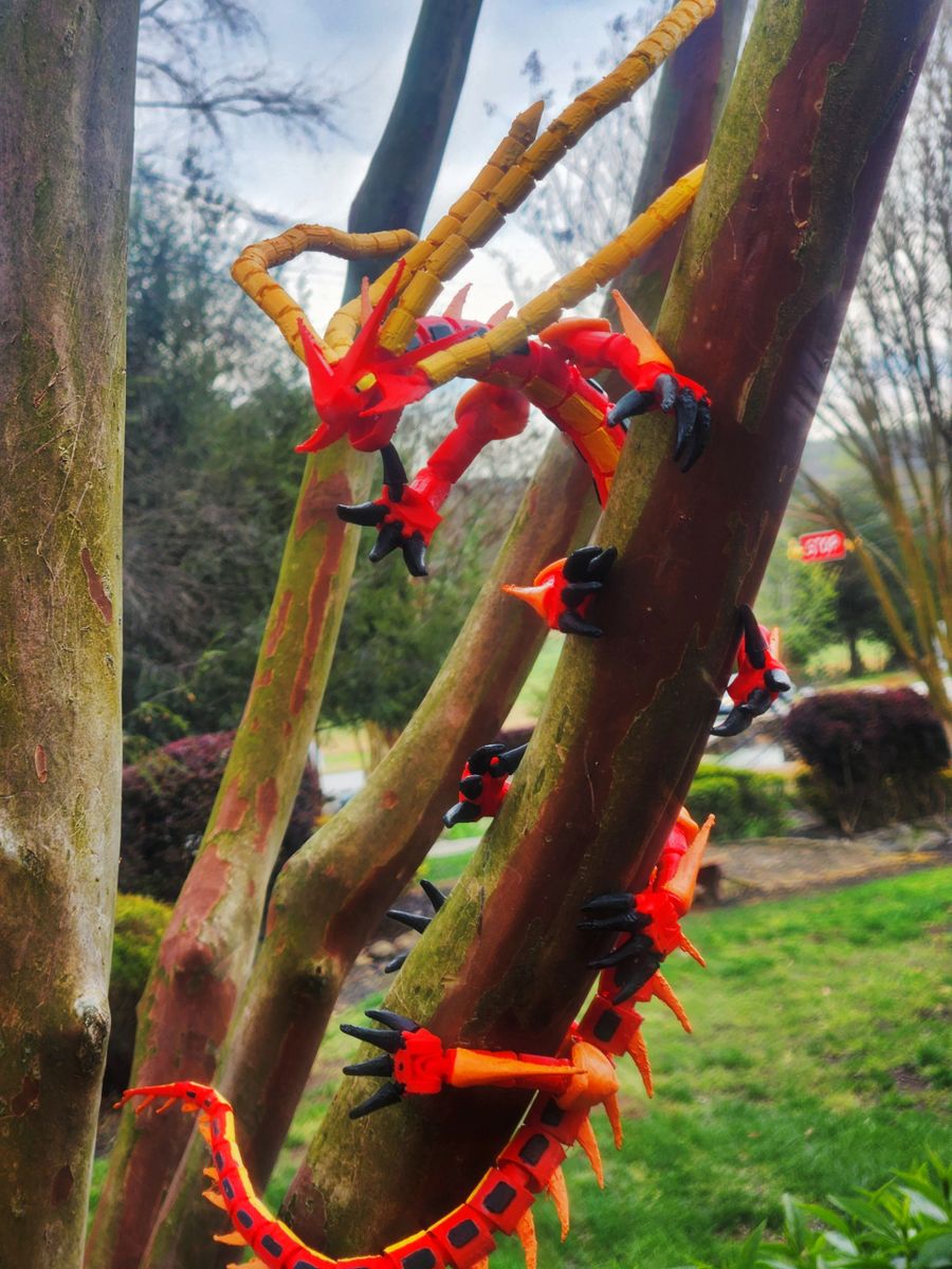 (Sizzle) The Combustion Dragon