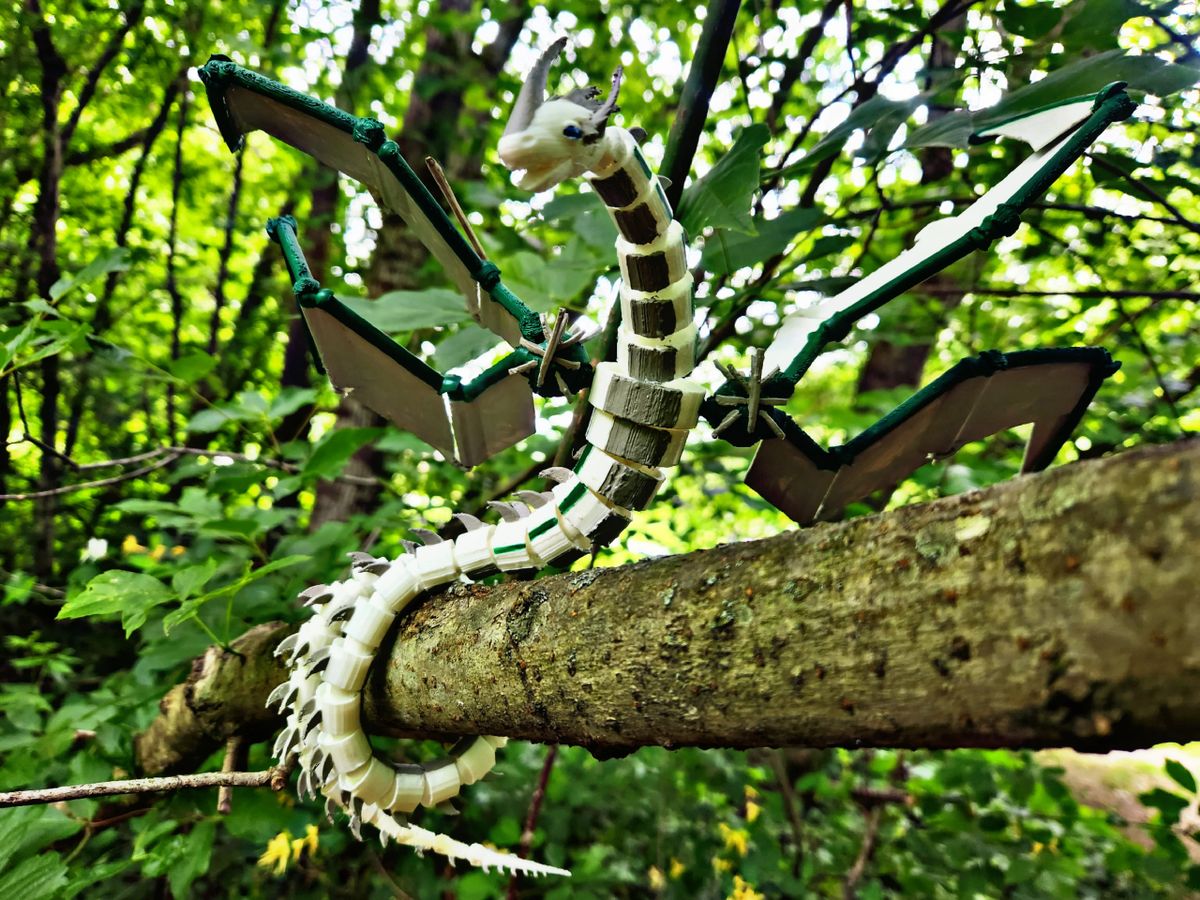 (Tempestra) The Storm Dragon